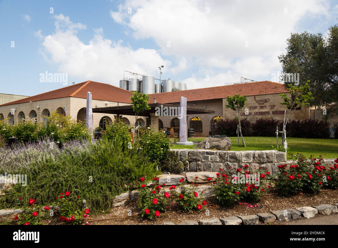 The Golan Heights Winery at the Golan Heights, Israel Stock Photo - Alamy
