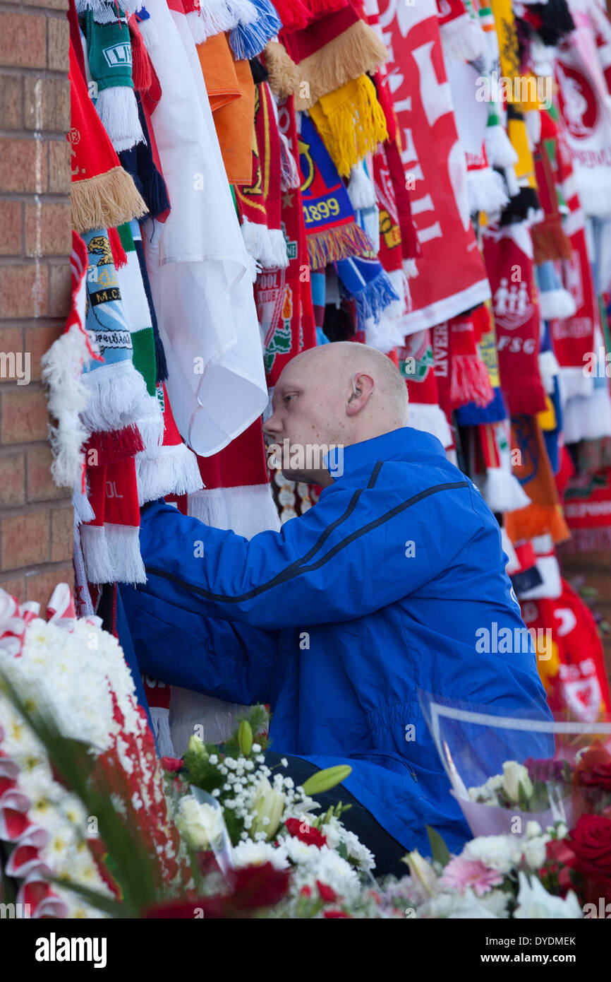 Everton scarves hi-res stock photography and images - Alamy