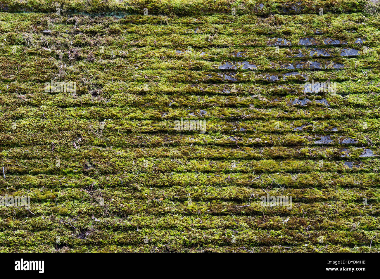 Moss covered roof hi-res stock photography and images - Alamy