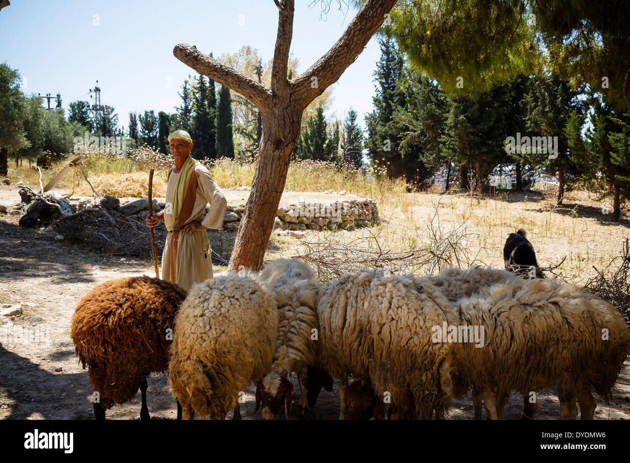 Nazareth Village, recreating Nazareth in the time of Jesus, Nazareth ...