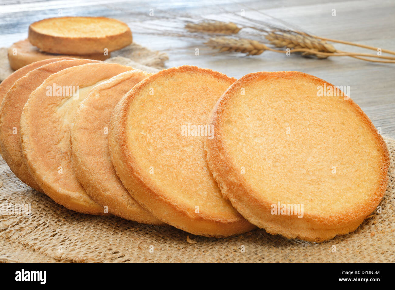 Breakfast with dutch golden crunchy natural rusks Stock Photo - Alamy