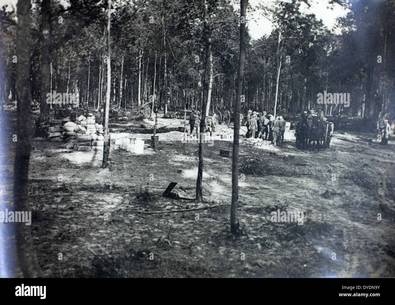 James Faye served in World War I, and this image captures his service ...