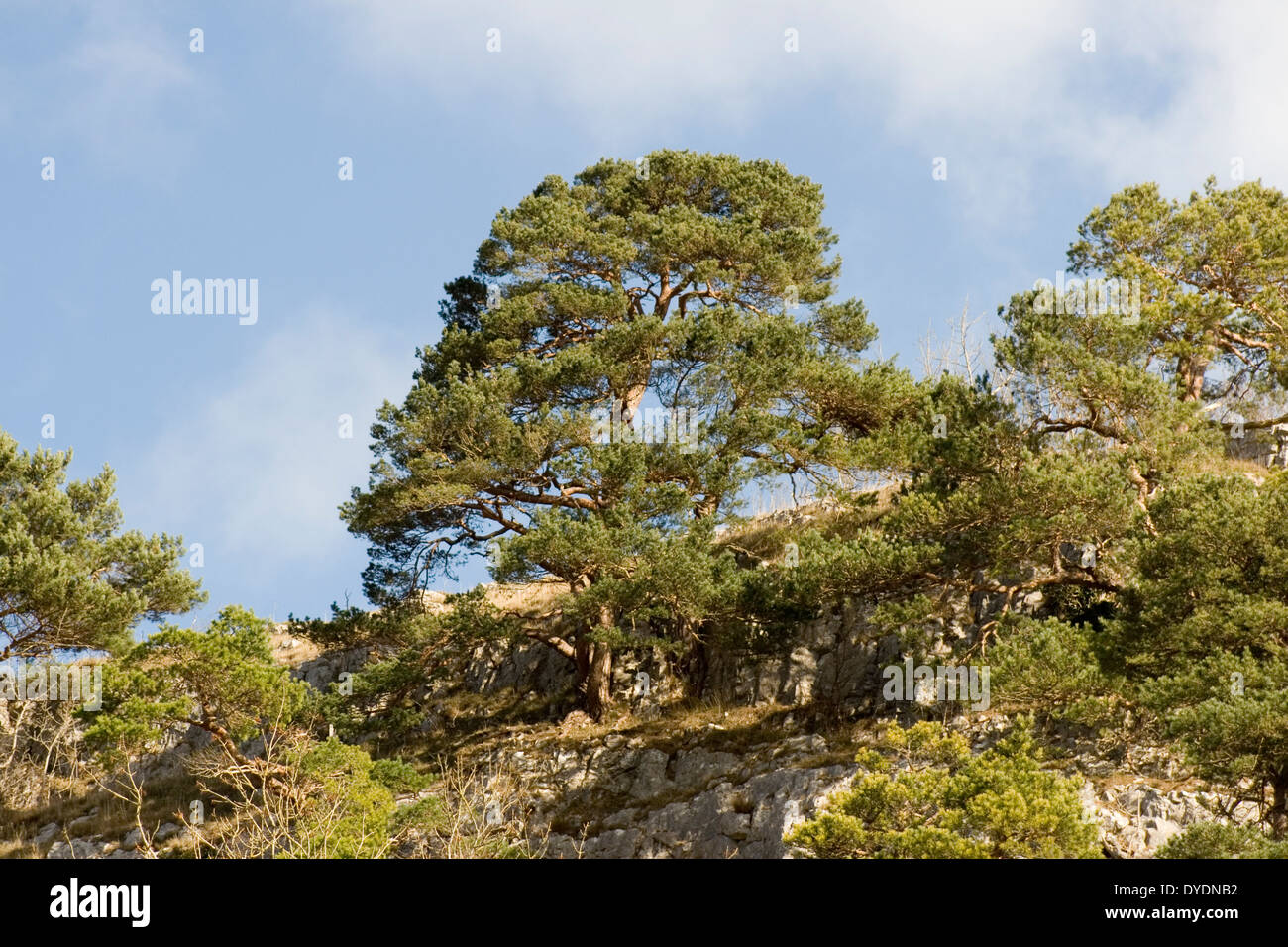 At loggerheads hi-res stock photography and images - Alamy