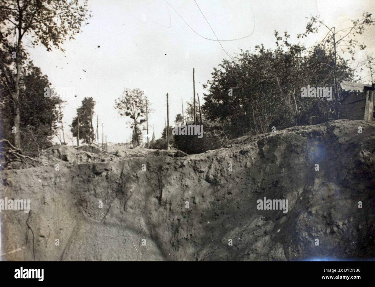 This image captures James Faye, a World War I aviator, who served ...