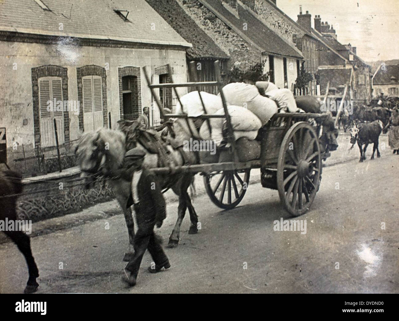 World war i activities hi-res stock photography and images - Alamy