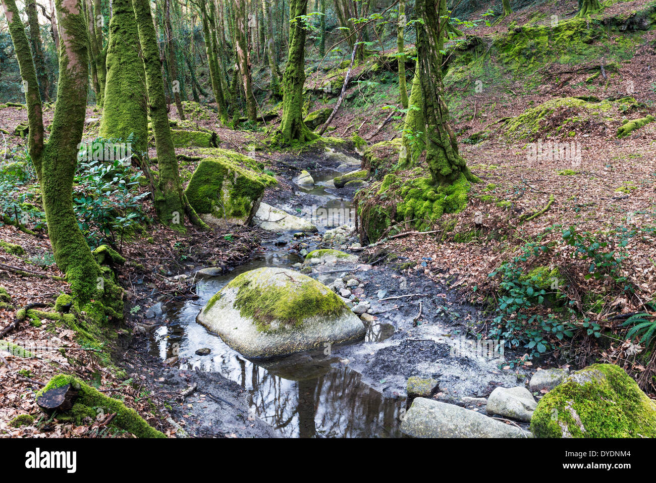 Ponts mill cornwall hi-res stock photography and images - Alamy