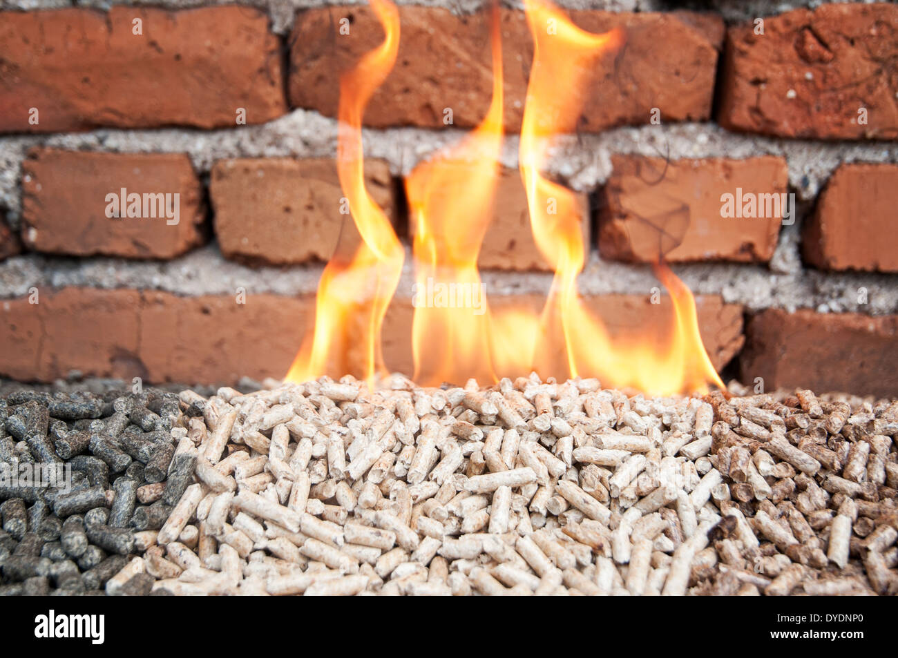 Tree kind of pellets in a flames and red brick wall Stock Photo - Alamy