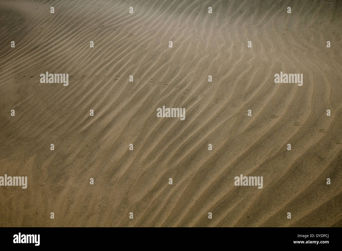 Waves in beach sand with shore bird tracks across it at 90 Mile Beach ...