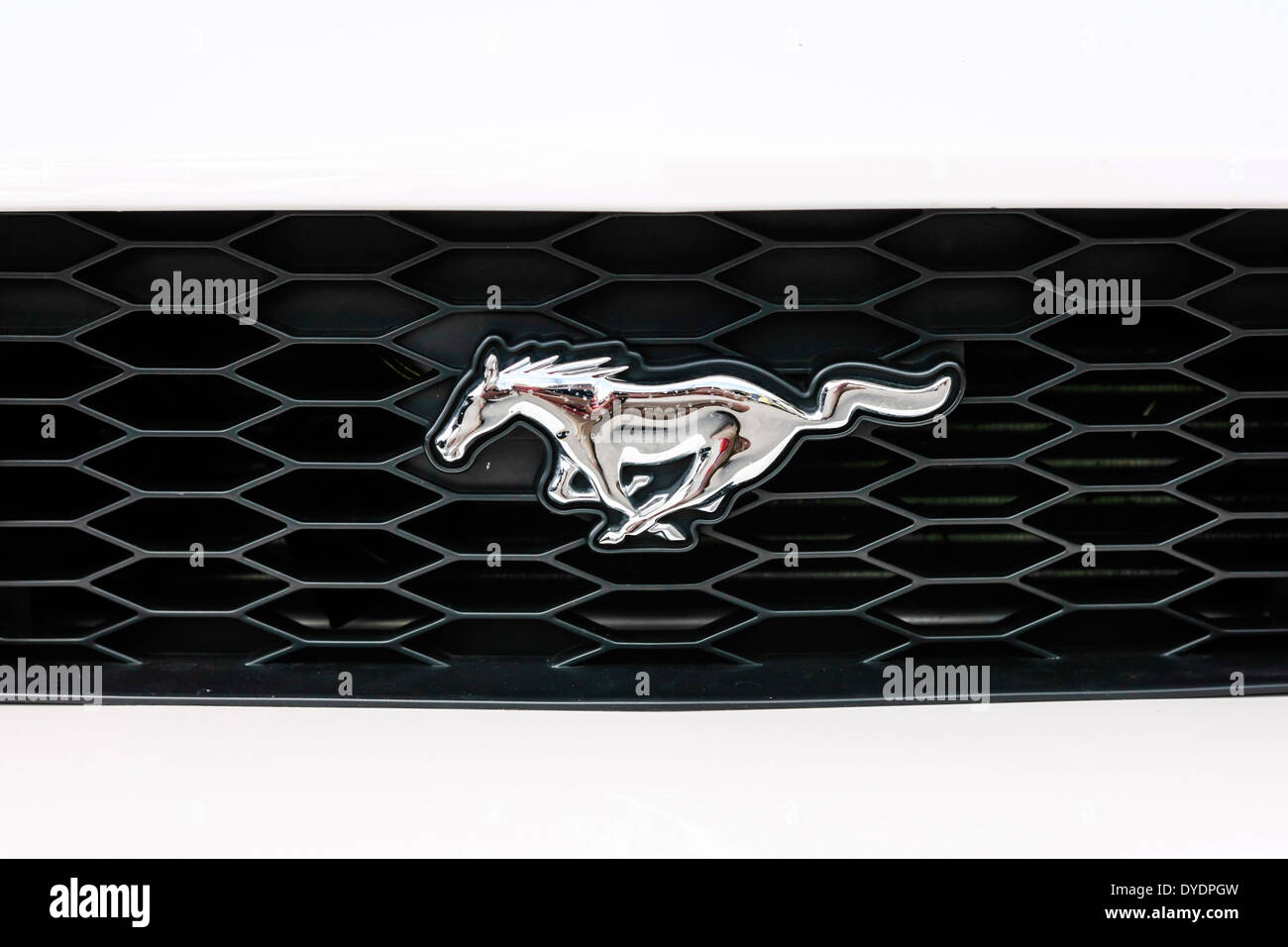 Custom mustang hi-res stock photography and images - Alamy