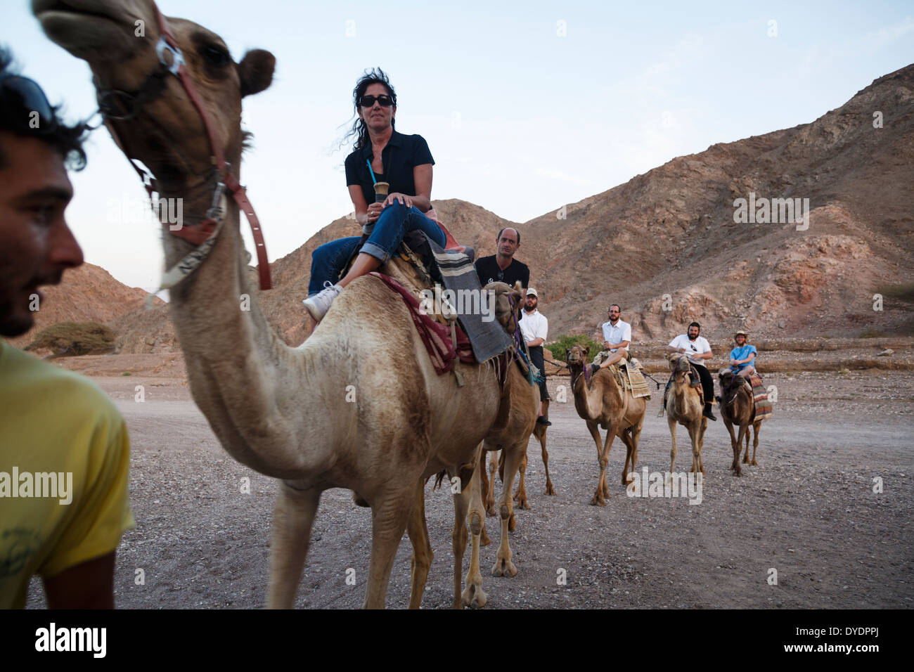 Camel riding israel hi-res stock photography and images - Alamy