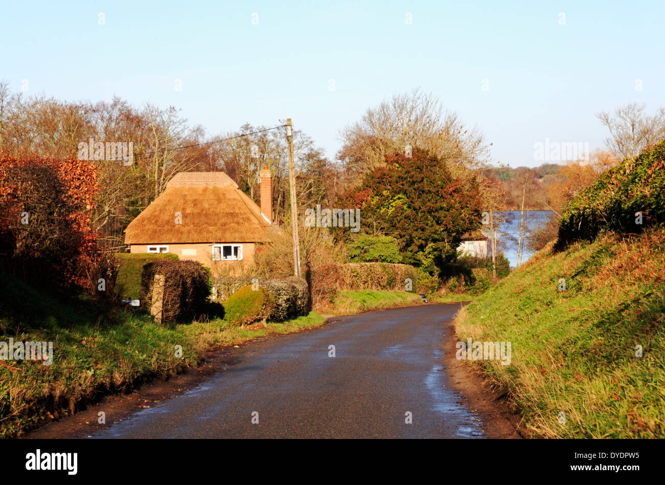 A country road leading to Malthouse Broad on the Norfolk Broads at ...