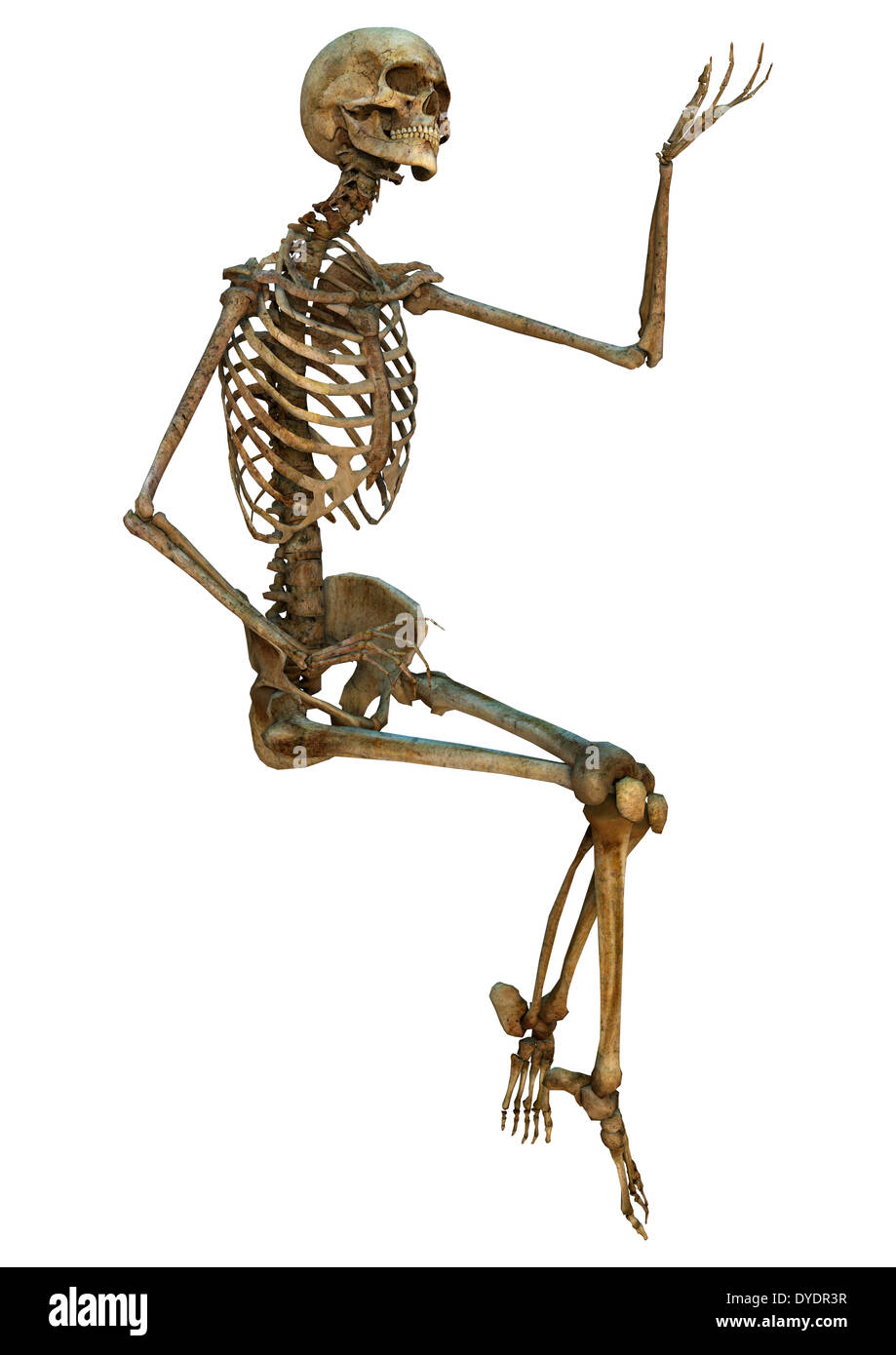 3D digital render of an old human sitting skeleton isolated on white ...