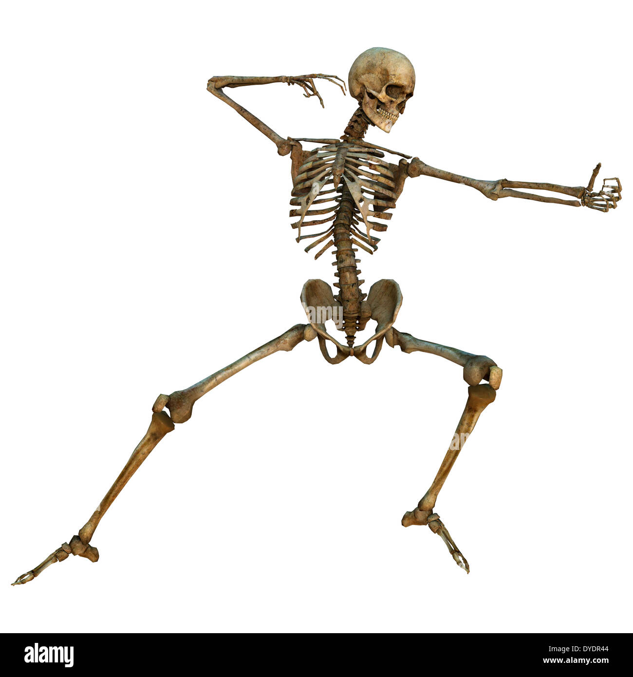 3D digital render of an old human male skeleton isolated on white ...