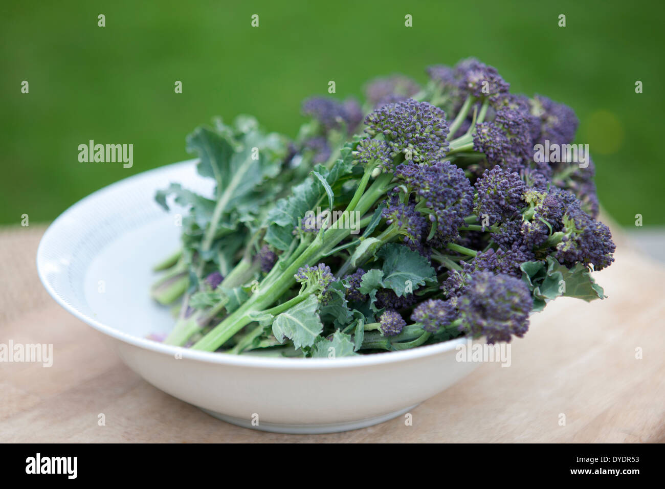 Purple Sprouting Broccoli Stock Photos & Purple Sprouting Broccoli ...