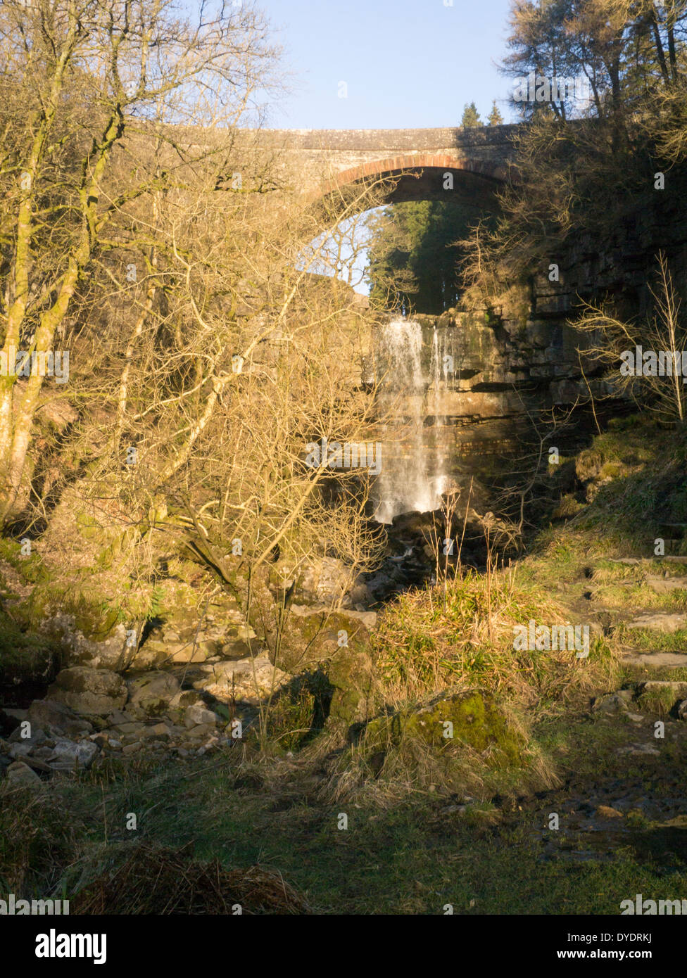 Ashgill Force in Cumbria near to the village of Garrigill is a ...