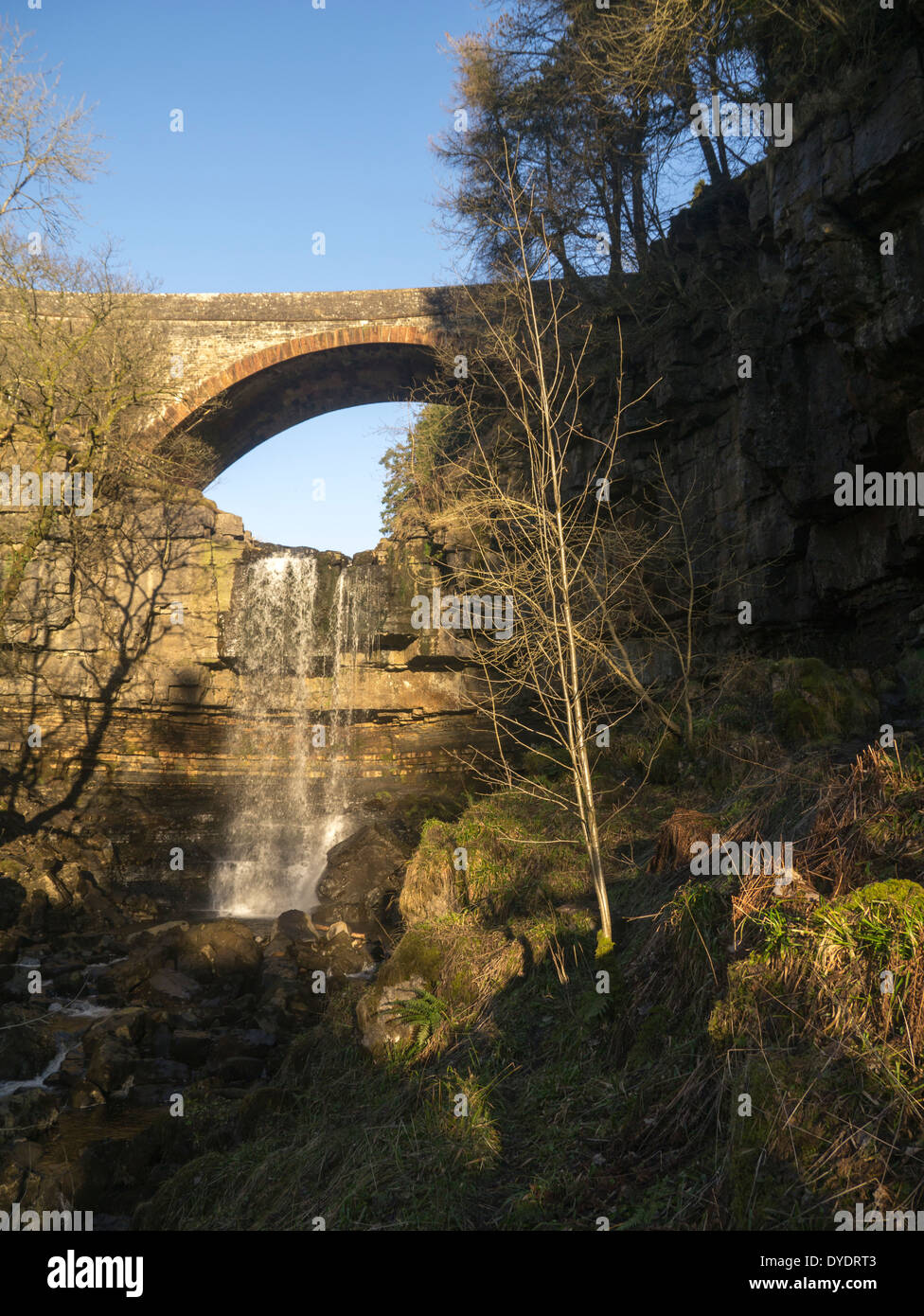 Ashgill Force in Cumbria near to the village of Garrigill is a ...