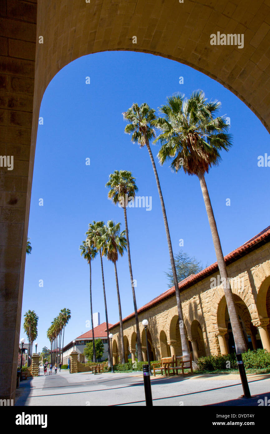 Palm trees through archway on Stanford University campus Stock Photo ...