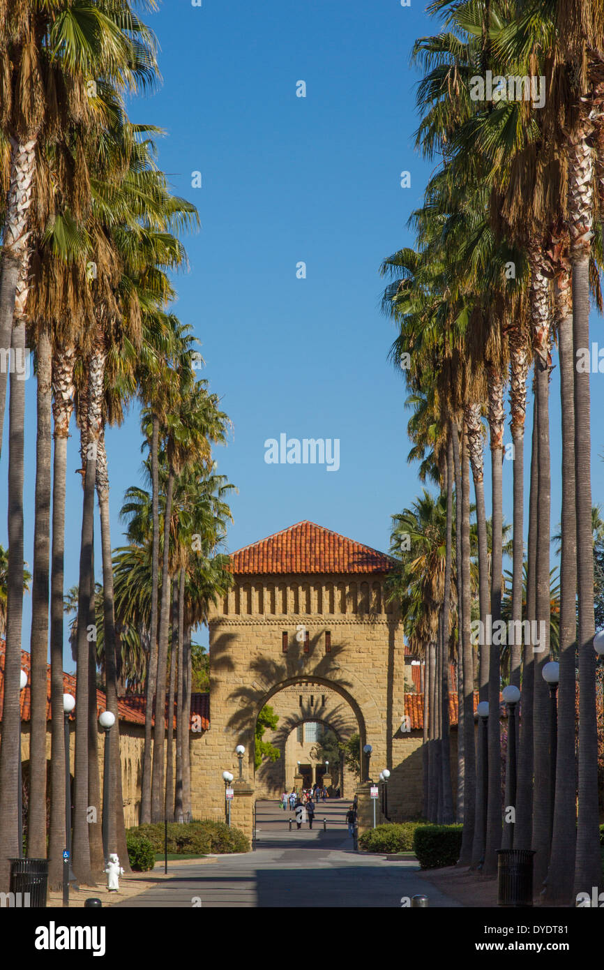 Shadows from palm trees casting shadows on arches in dramatic entrance ...