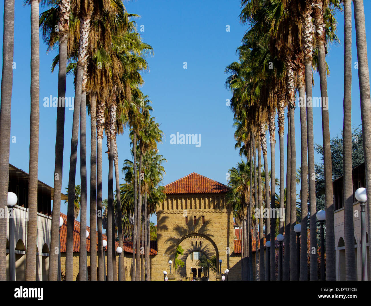 Shadows from palm trees casting shadows on arches leading to Quad on ...