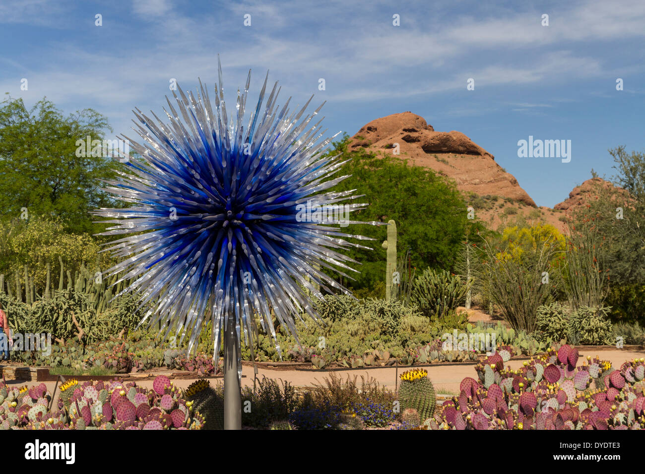 Glass sculpture, Desert Botanical Gardens, Phoenix, Arizona, USA Stock ...