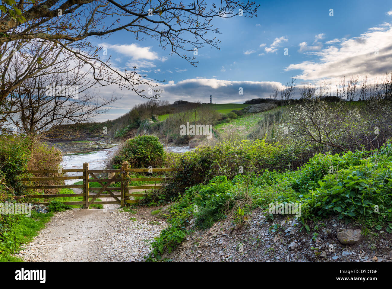 Menabilly hi-res stock photography and images - Alamy