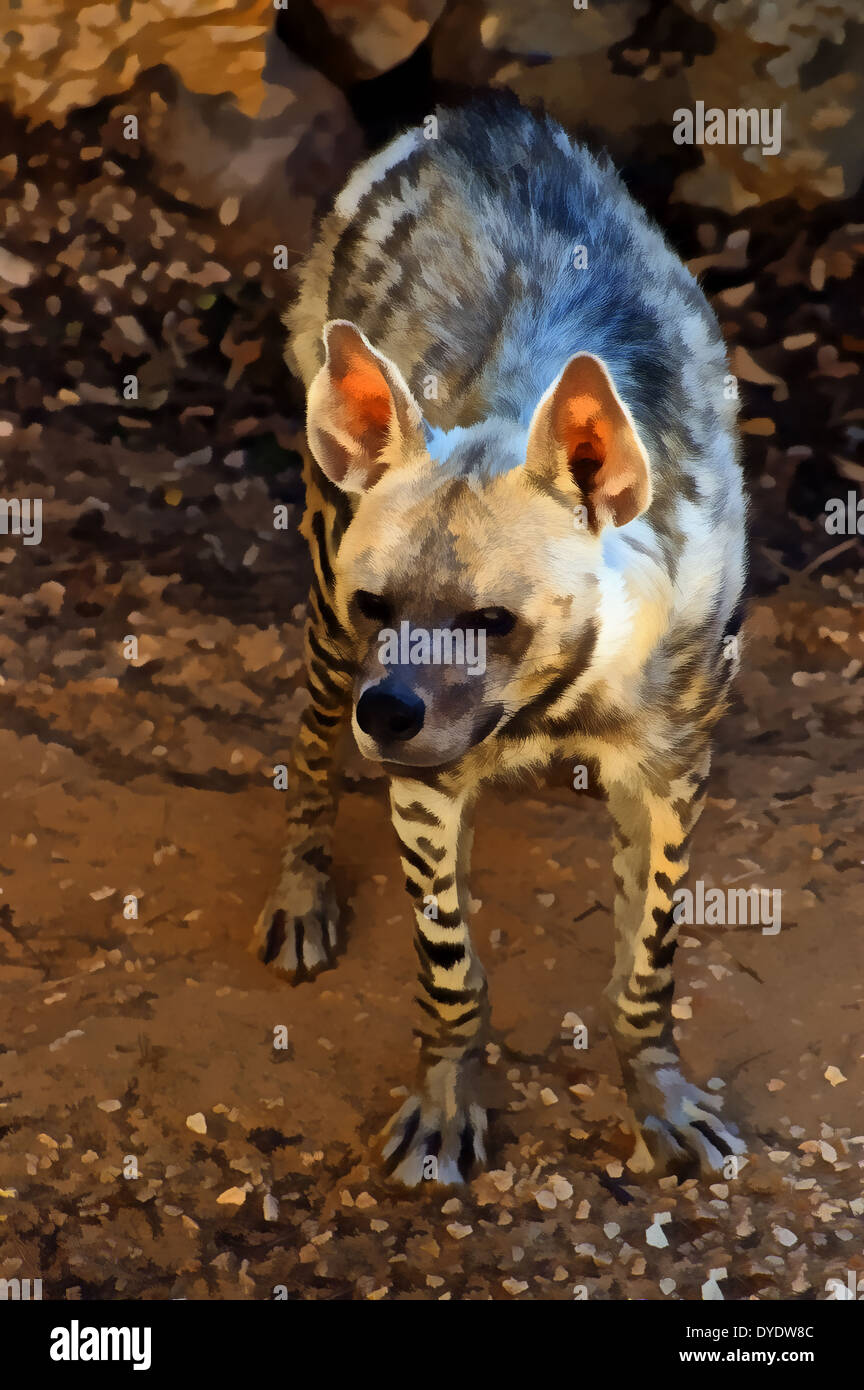 Pictures Hyenas High Resolution Stock Photography and Images - Alamy