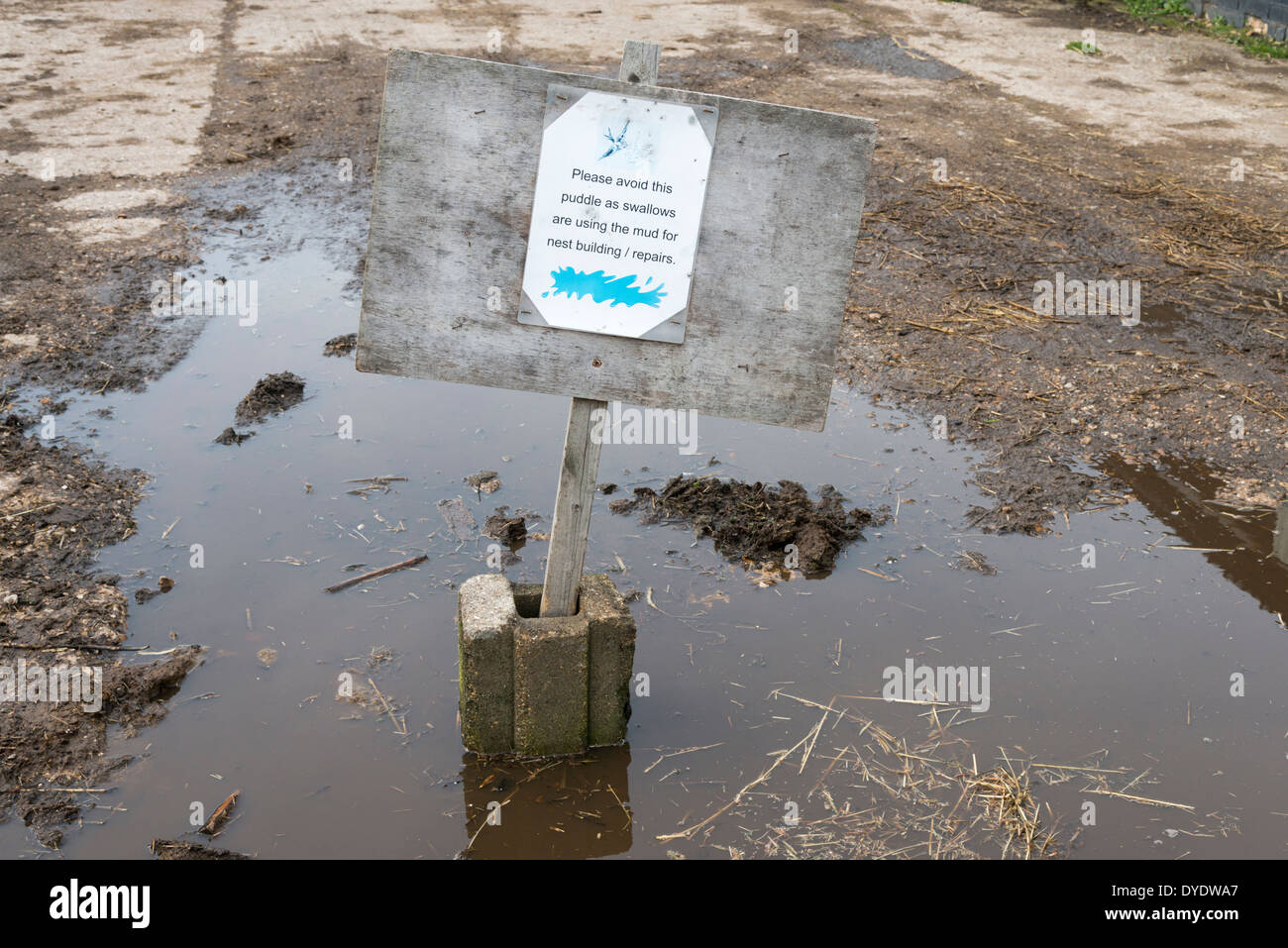 Nesting birds warning sign hi-res stock photography and images - Alamy