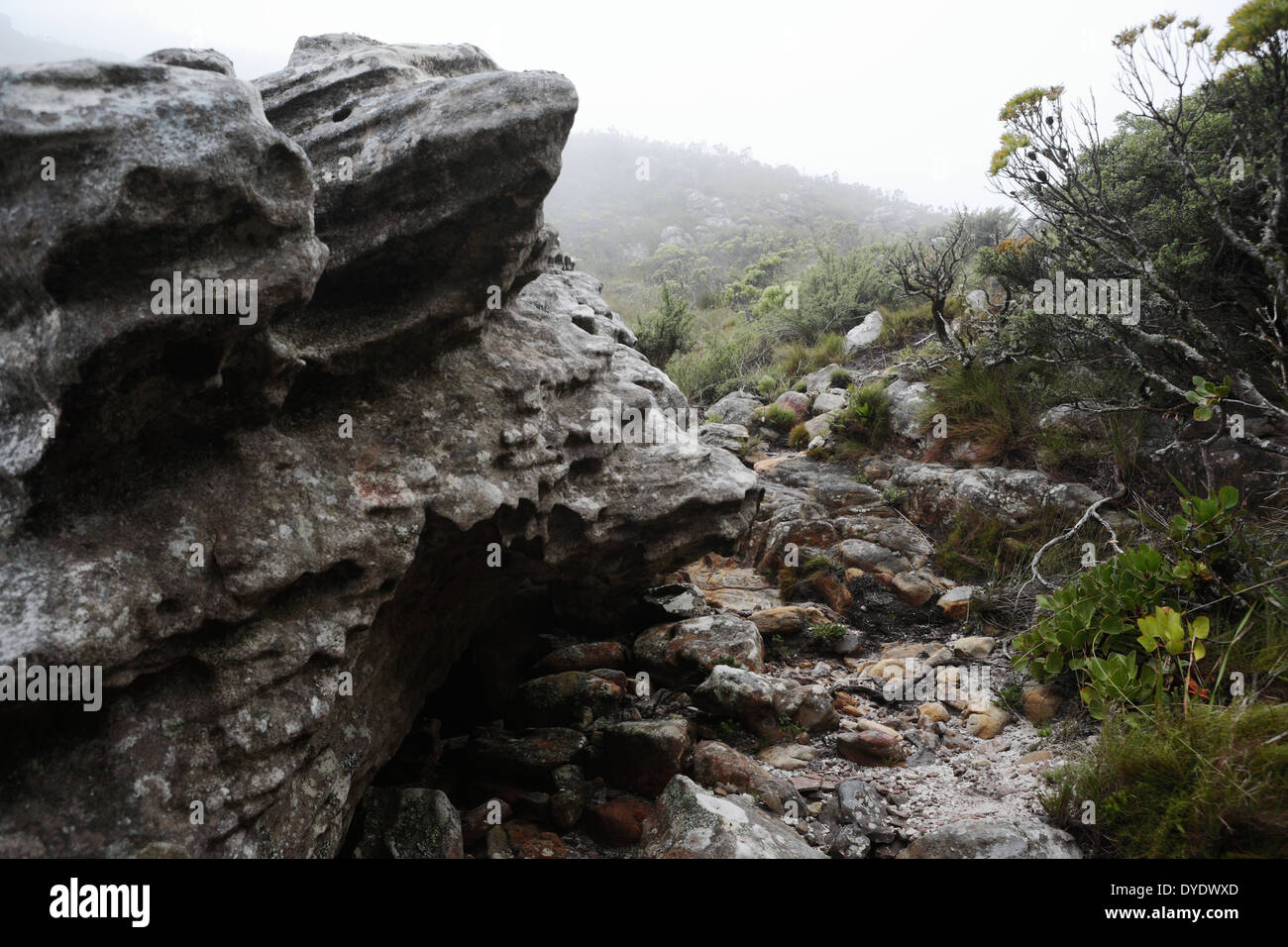 Rock formations on Table Mountain, Cape Town, South Africa Stock Photo ...