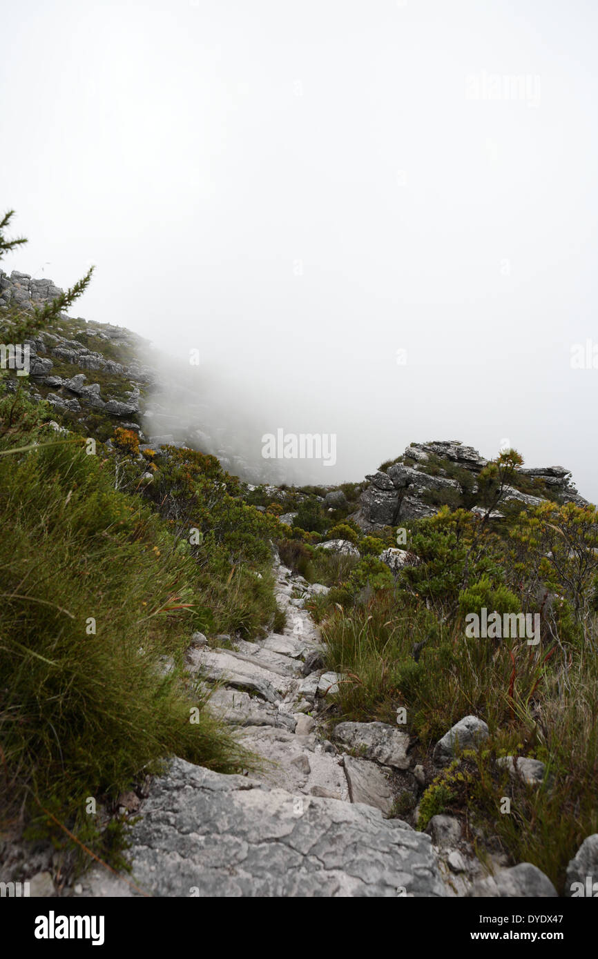 Cloud Trail Formations High Resolution Stock Photography and Images - Alamy