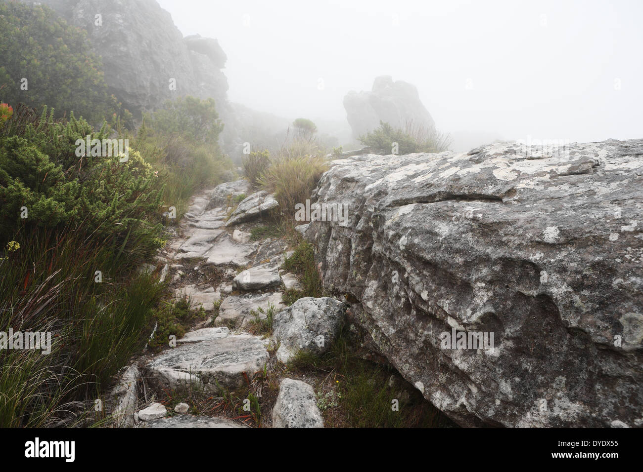 Cloud Trail Formations High Resolution Stock Photography and Images - Alamy