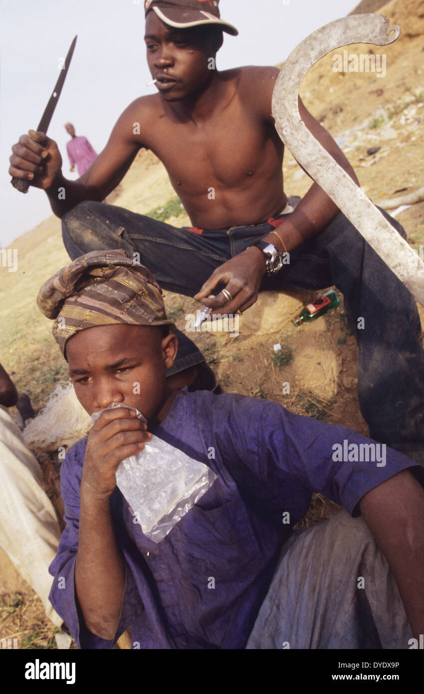 Violent ghetto gang members often on drugs. Muslim youths who might ...