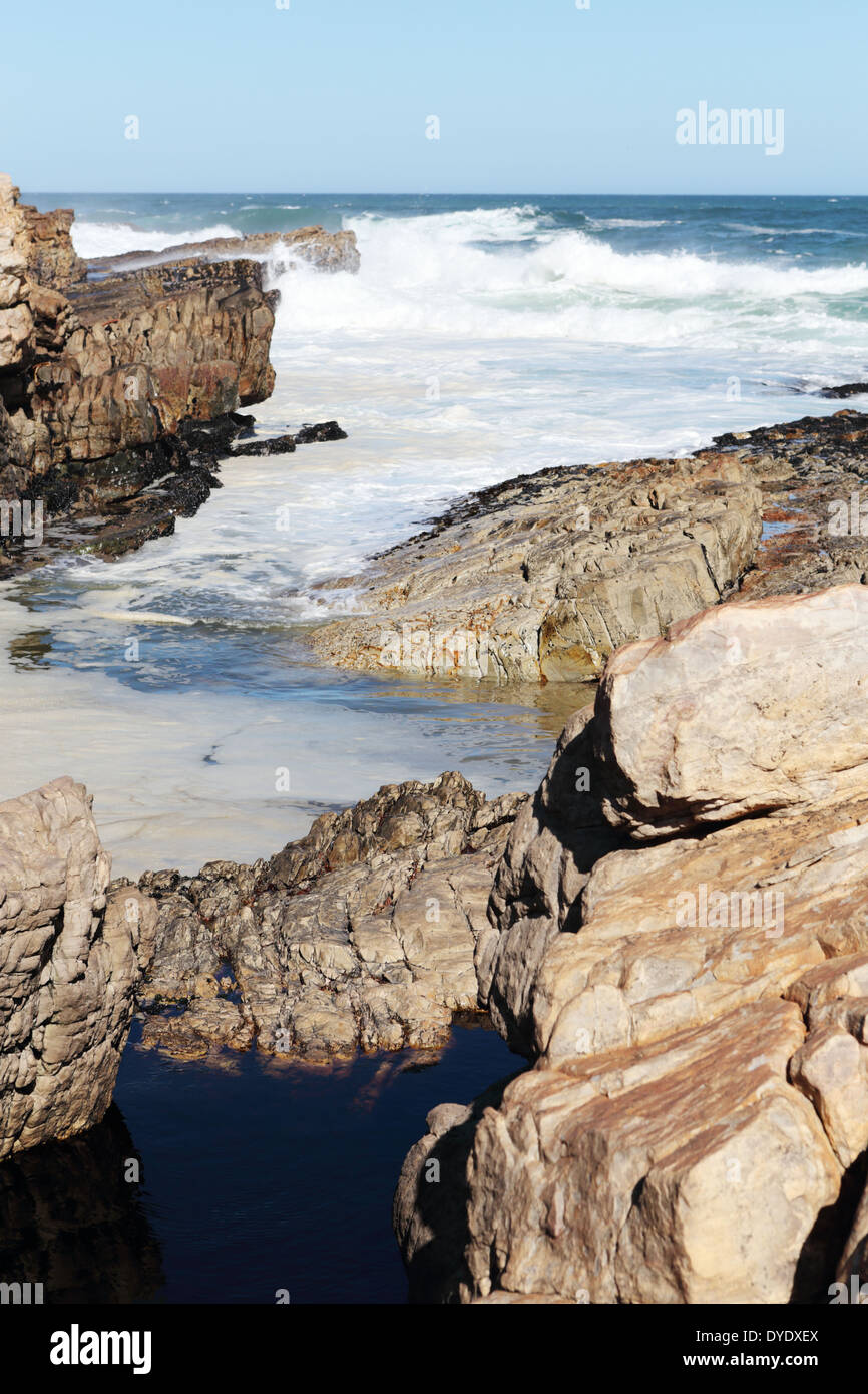 Brackish river hi-res stock photography and images - Alamy