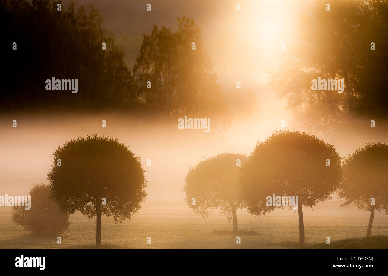 Morning round of golf hi-res stock photography and images - Alamy