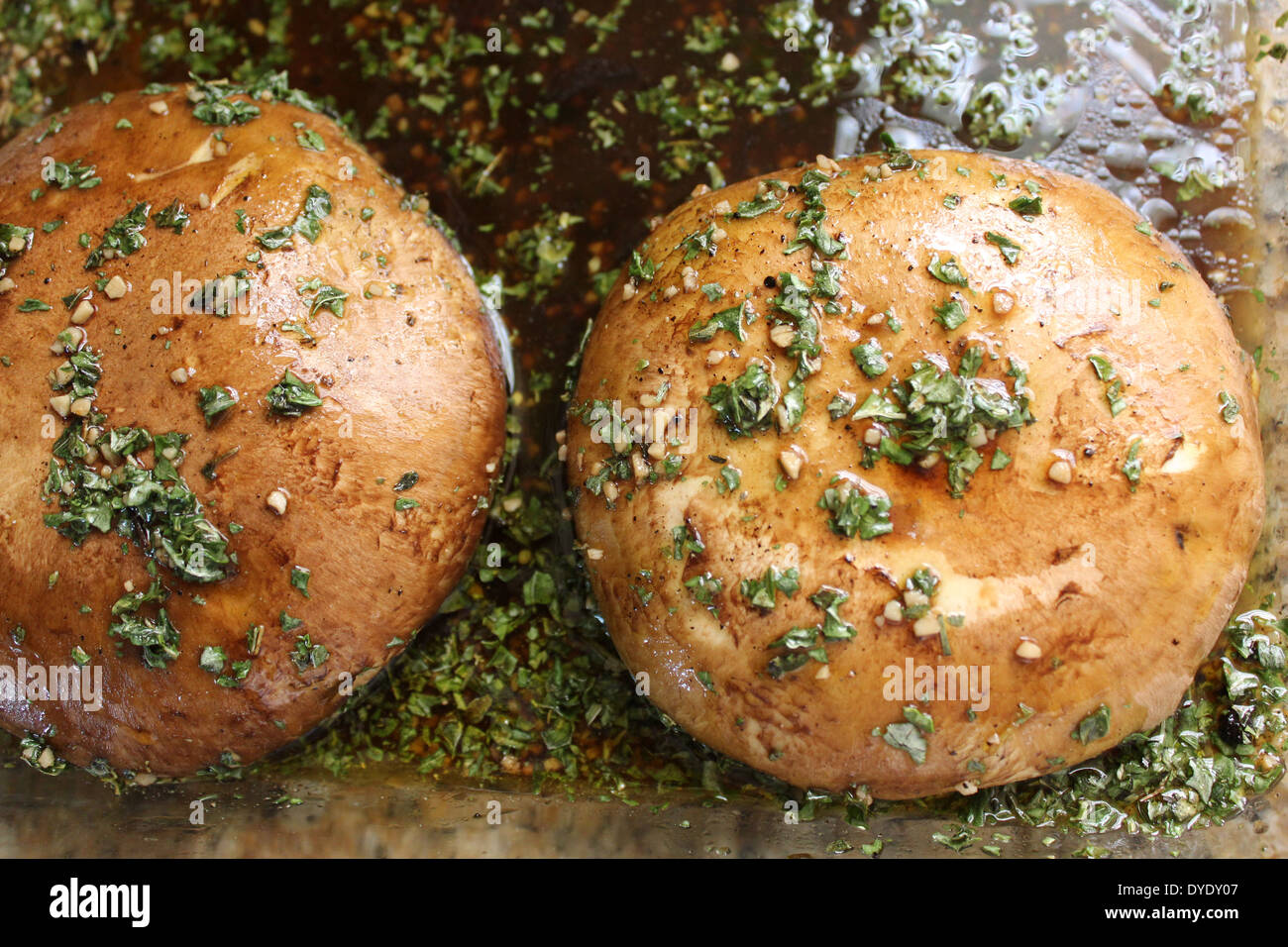 Marinading Portabella Mushrooms Stock Photo - Alamy