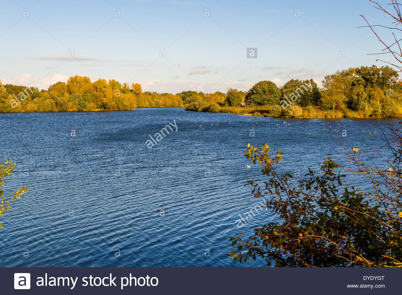 Dinton Pastures High Resolution Stock Photography and Images - Alamy
