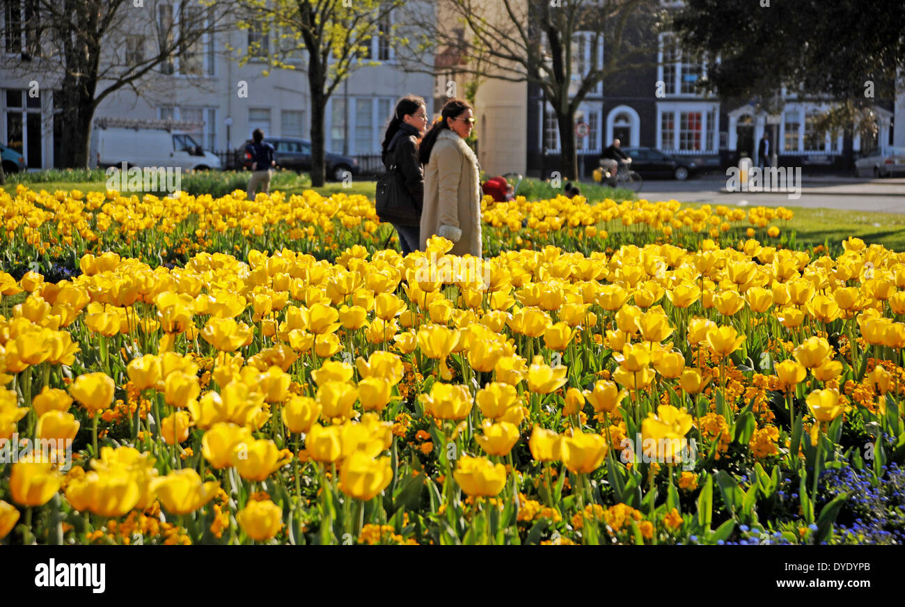 Old stein brighton hi-res stock photography and images - Alamy
