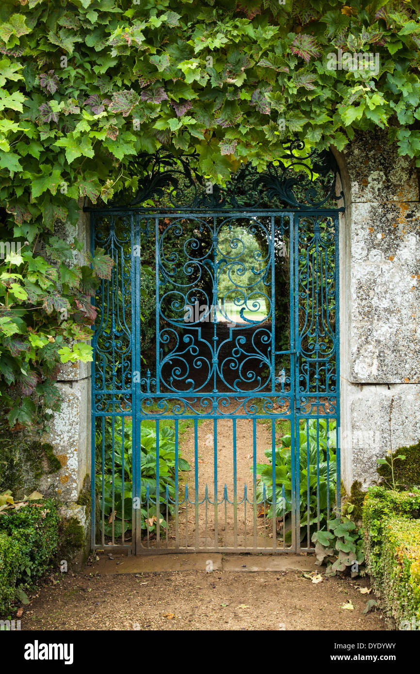 Gate framed by vines hi-res stock photography and images - Alamy
