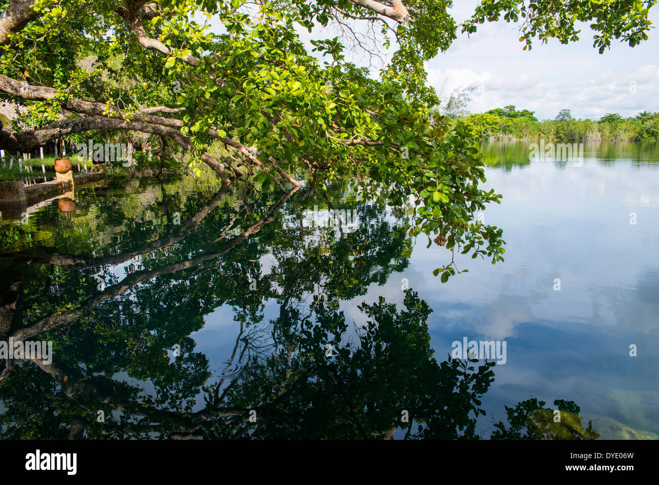 A big mexican cenote in the coast Stock Photo - Alamy