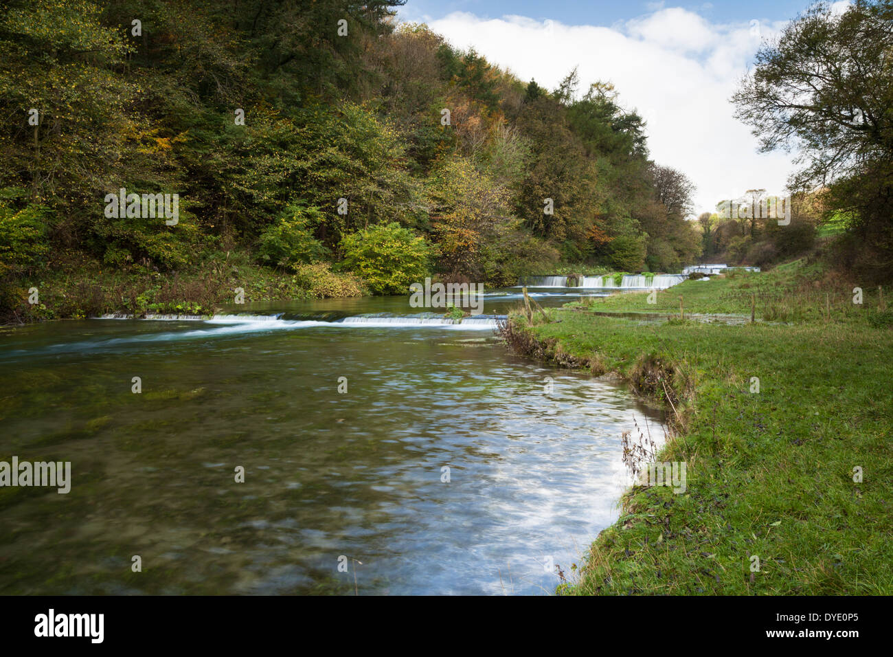 The gentle cascades on the River Lathkill in Lathkill Dale near Over ...