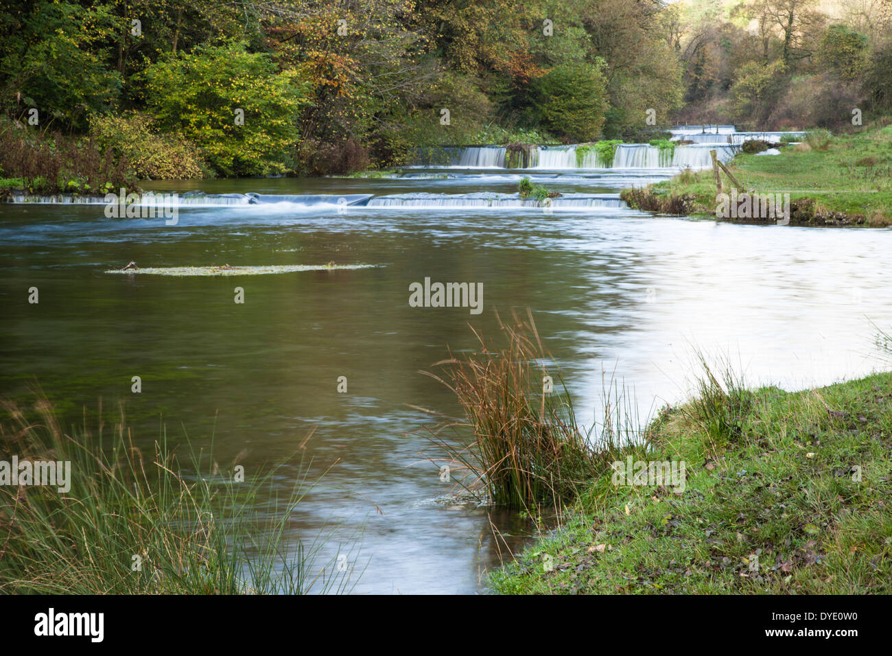The gentle cascades on the River Lathkill in Lathkill Dale near Over ...