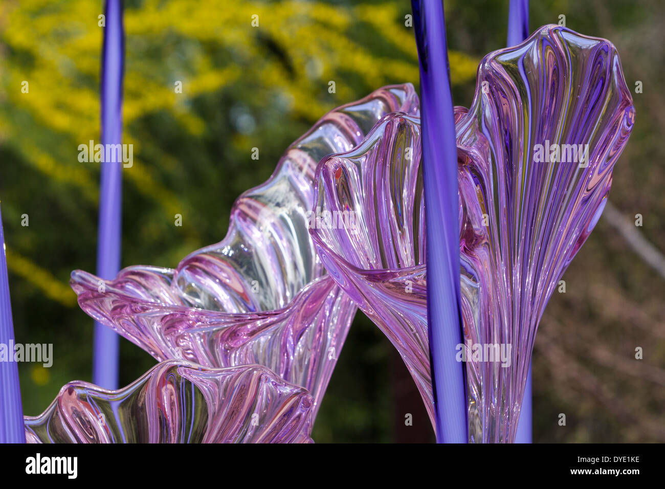 Glass sculpture, Desert Botanical Gardens, Phoenix, Arizona, USA Stock ...