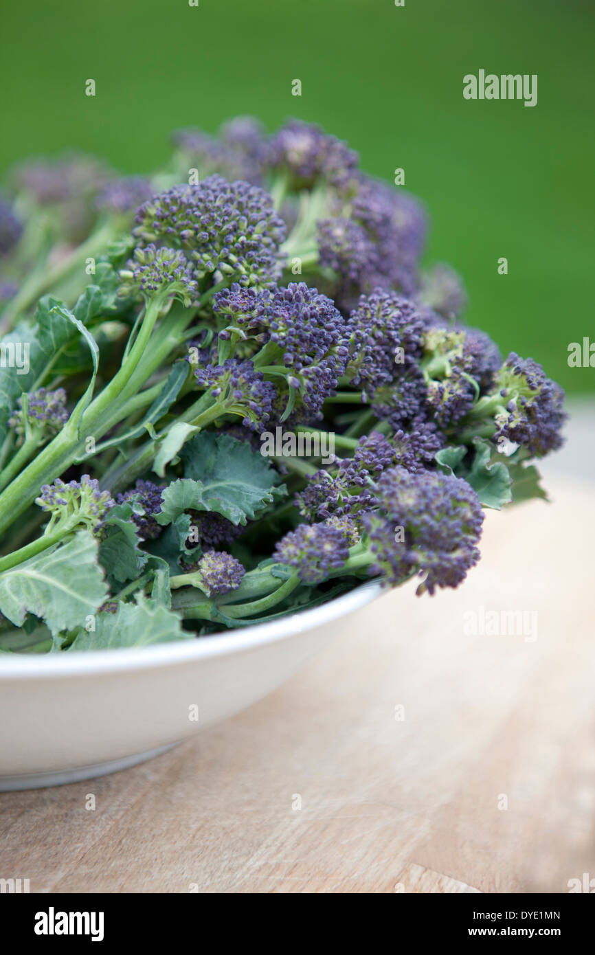 Purple sprouting broccoli hi-res stock photography and images - Alamy