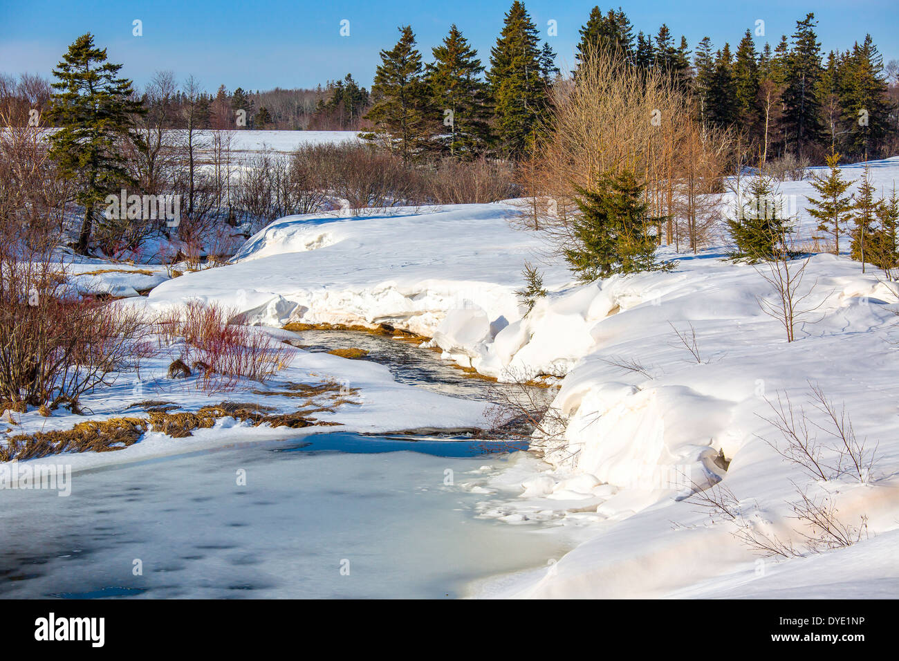 Frozen stream running through farmland in rural Prince Edward Island ...