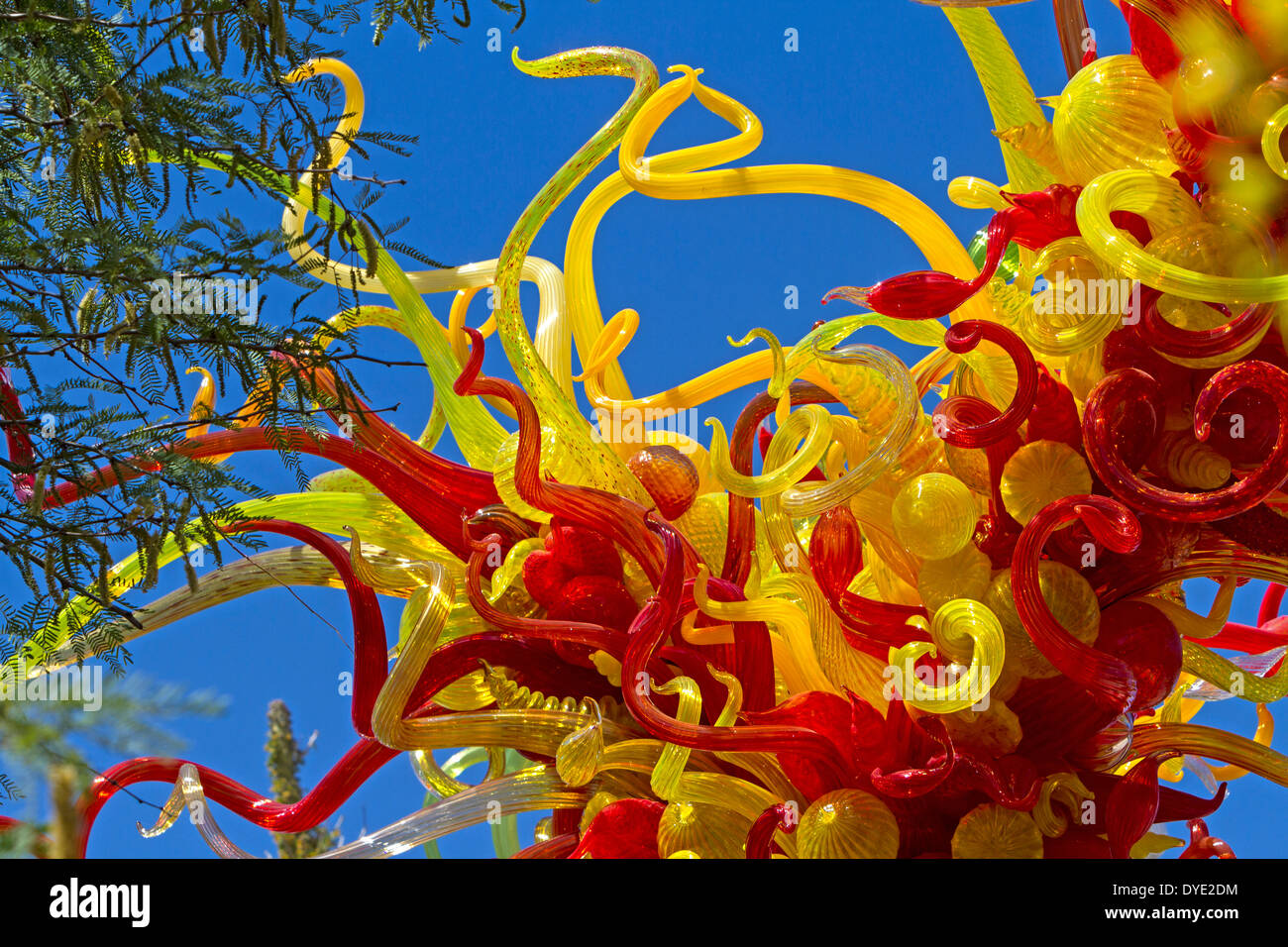 Glass sculpture, Desert Botanical Gardens, Phoenix, Arizona, USA Stock ...