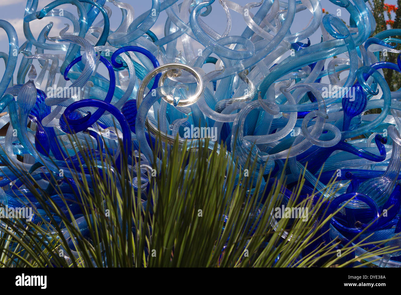 Glass sculpture, Desert Botanical Gardens, Phoenix, Arizona, USA Stock ...
