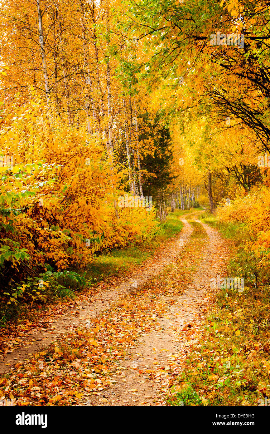 Beautiful autumn scene Stock Photo - Alamy