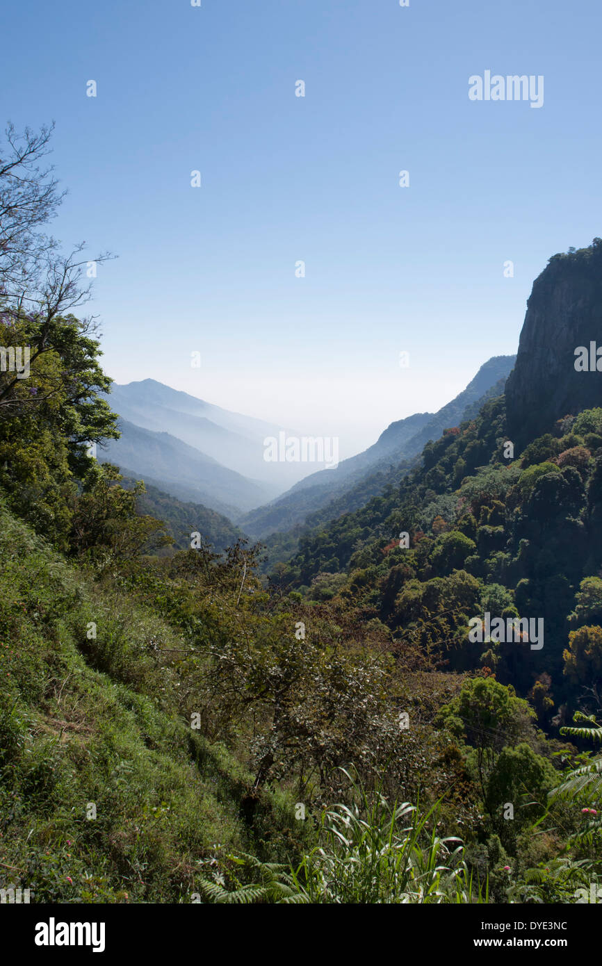 Nilgiri hills hi-res stock photography and images - Alamy