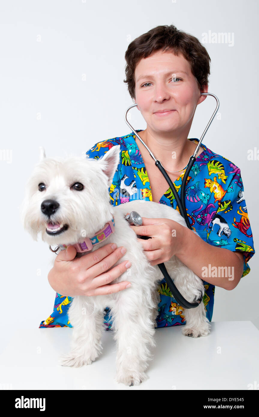 Veterinary clinic teenager hi-res stock photography and images - Alamy