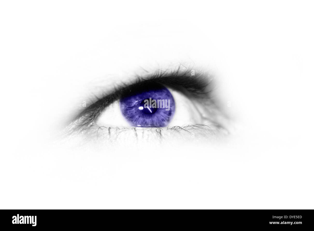 Detailed close-up view of the human eye Stock Photo - Alamy