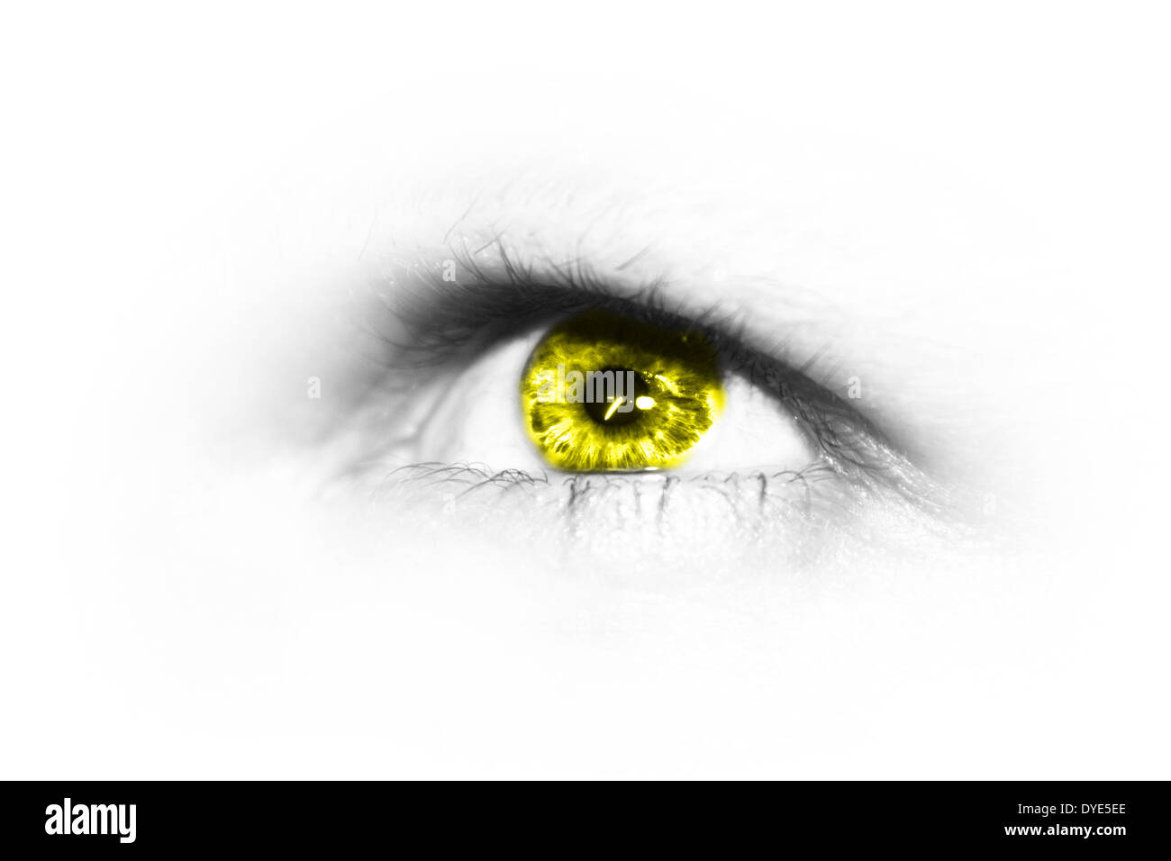 Detailed close-up view of the human eye Stock Photo - Alamy